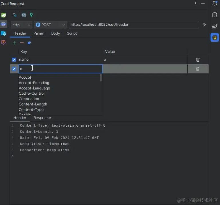 IDEA接口调试神器Cool Request使用教程_编程知识分享|编程教程|资源下载|源码下载